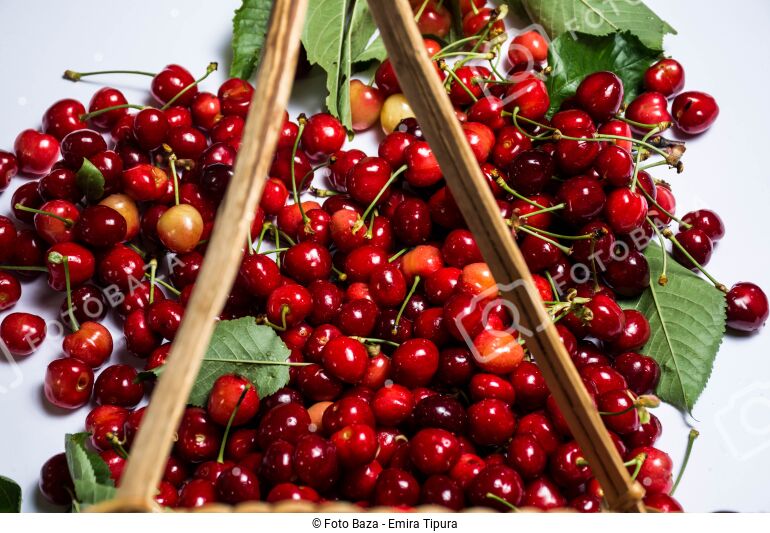 Trešnje - preuzmite fotografiju | Foto Baza