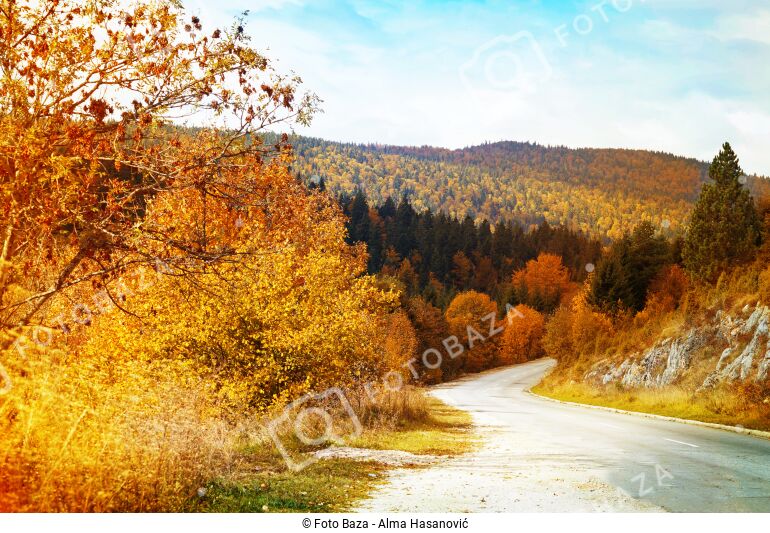 Planina Igman na jesen - preuzmite fotografiju | Foto Baza