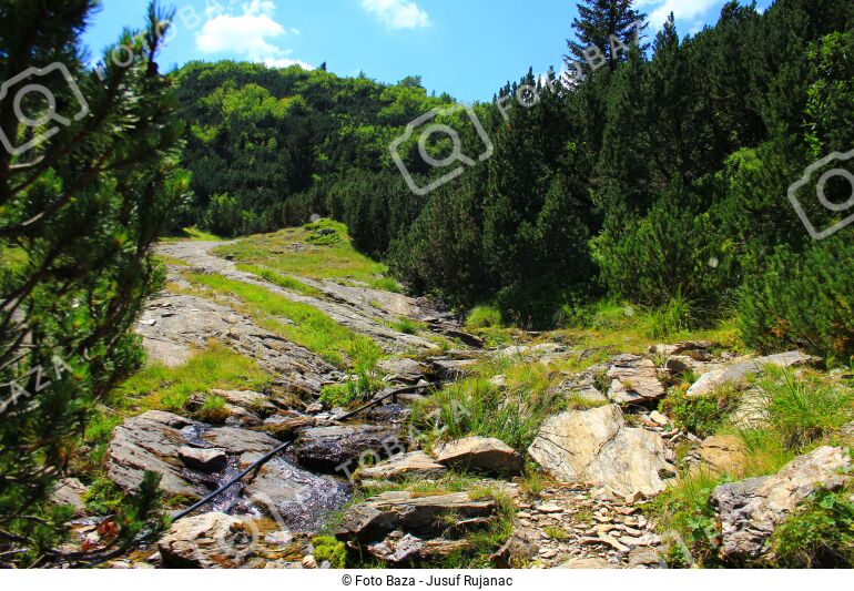 Planina Vranica - preuzmite fotografiju | Foto Baza