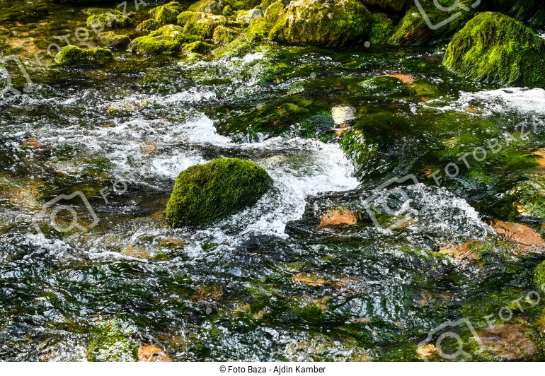 Tok rijeke u prirodi - preuzmite fotografiju | Foto Baza