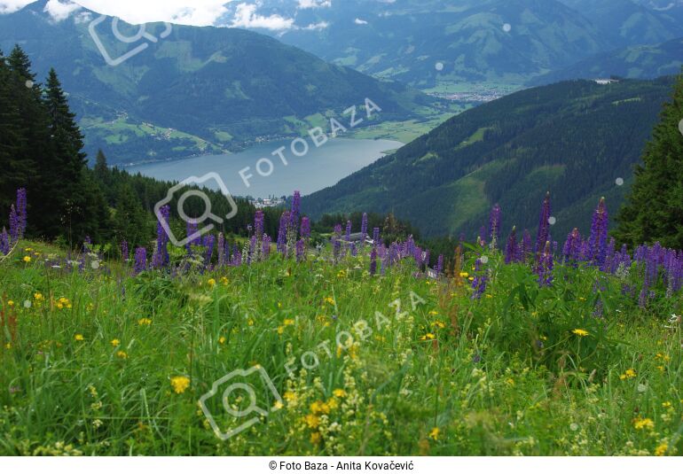 Planina - preuzmite fotografiju | Foto Baza