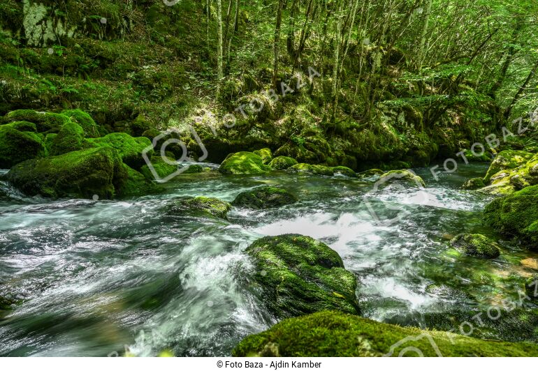 Izvor rijeke Sane - preuzmite fotografiju | Foto Baza