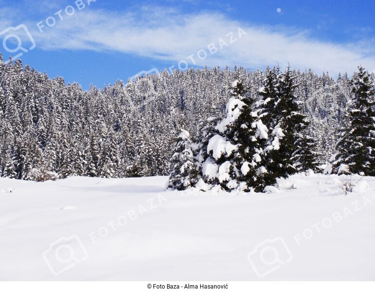 Planina Igman zimi - preuzmite fotografiju | Foto Baza