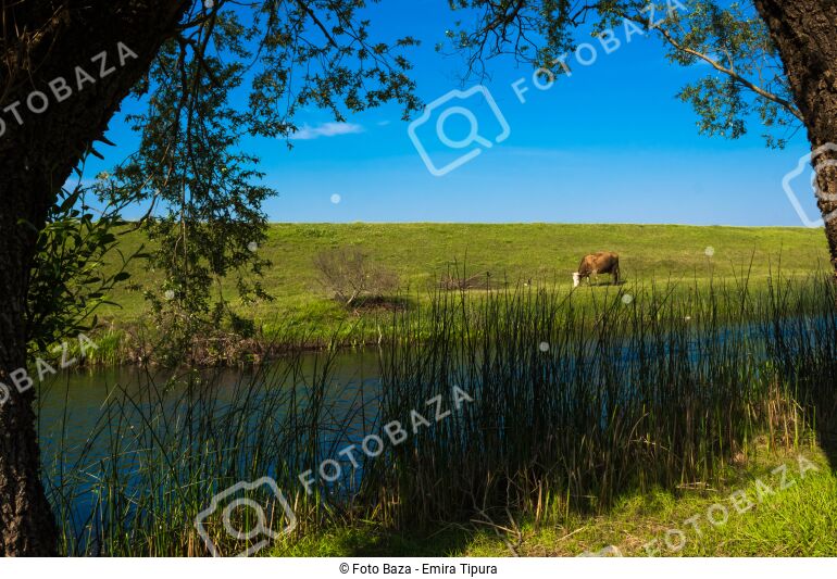 Priroda - preuzmite fotografiju | Foto Baza