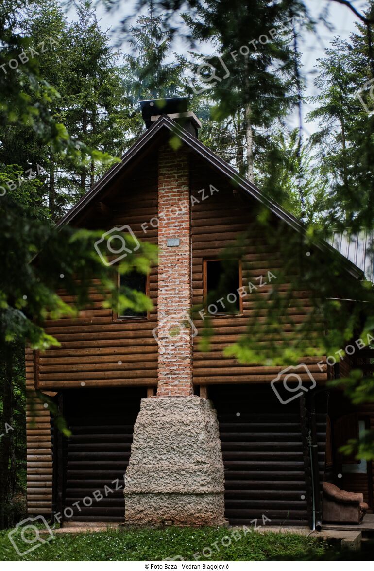 Brvnara u šumi - preuzmite fotografiju | Foto Baza