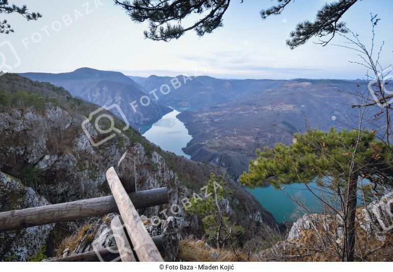 Banjska stena, Nacionalni park Tara - preuzmite fotografiju | Foto Baza