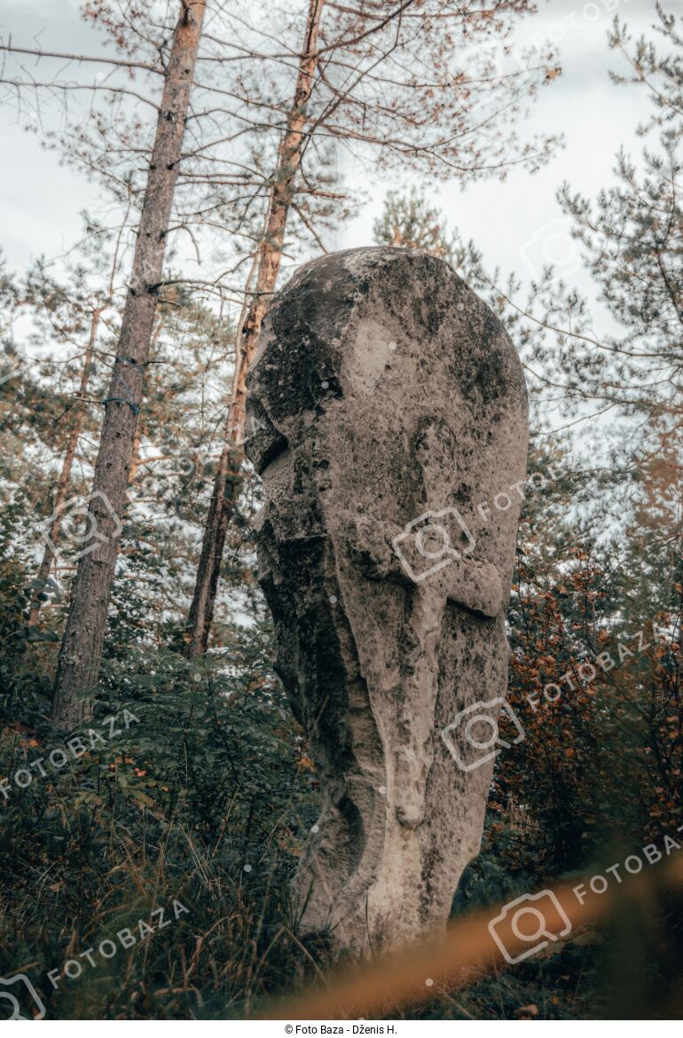 Markov kamen na Tvrtkovcu - preuzmite fotografiju | Foto Baza