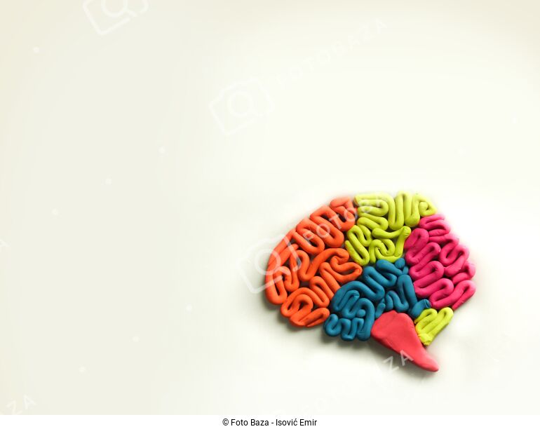 Ljudski mozak - preuzmite fotografiju | Foto Baza